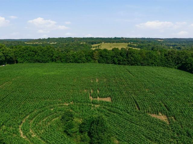 Lot 2 Grassland Road
