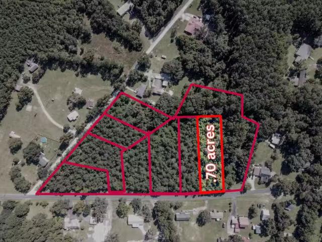 Lot 2 Hard Pinch Rd, Moncks Corner, SC 29461 MLS 214399