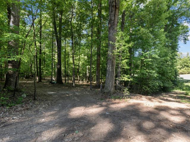 Lot 2 Helena Moriah Road