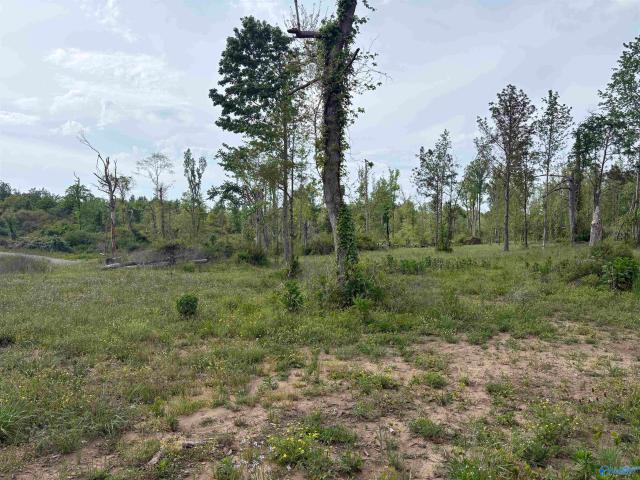 Lot 2 Hwy 40