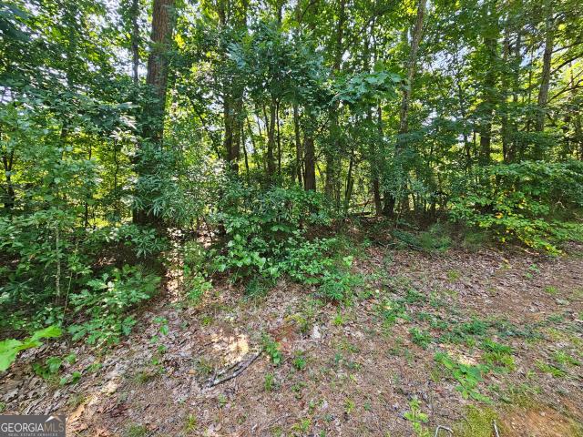 LOT 2 June Ivey Rd