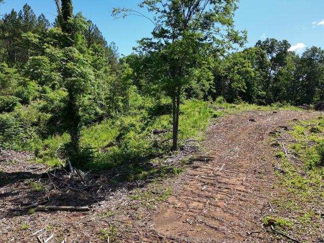 Lot 2 Lamontville Rd