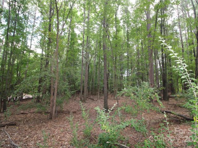 Lot 2 Lake Wylie Drive
