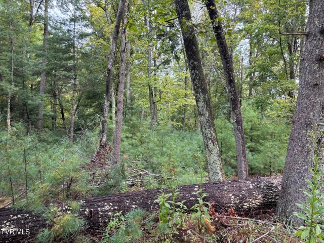 Lot 2 Locust Gap Road