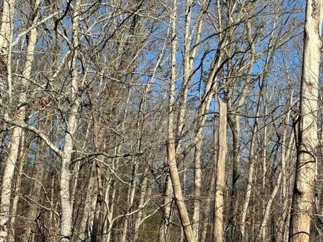 Lot 2 Lower River Rd NW, Charleston, TN 37310 | MLS #1516 | Compass