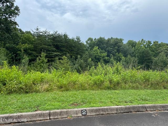 Lot 2 Malea Lane