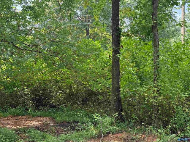 Lot 2 Monte Sano Blvd