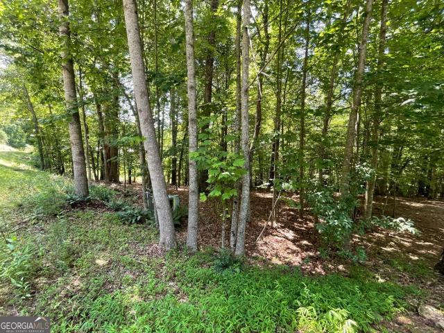 LOT 2 Mount Pleasant Ridge Road 2