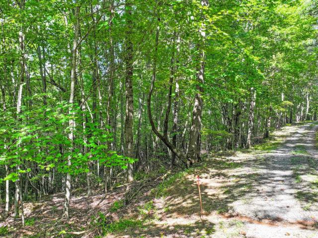 Lot 2 N View Dr, Mineral Bluff, GA 30559 | MLS #327491