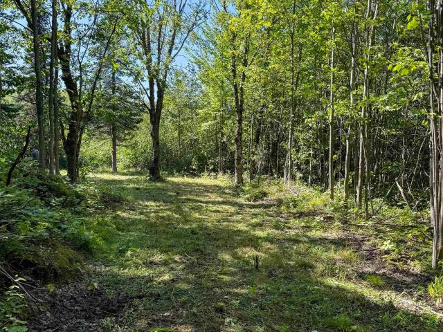 Lot 2 Off Hwy M 64 Road