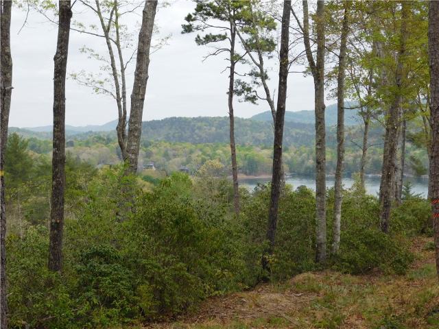 Lot 2 Old Chapman Bridge Rd, Salem, SC 29676 | MLS #20250 | Compass