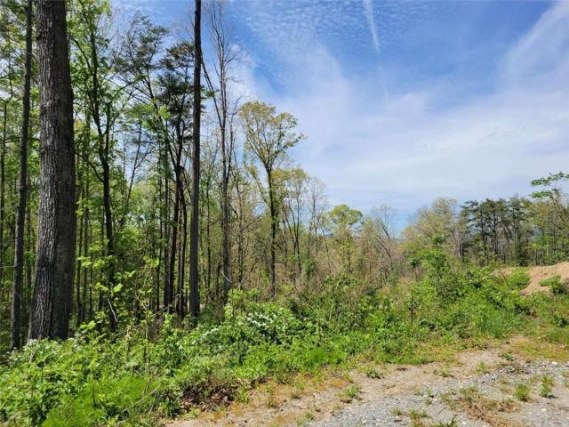 Lot 2 Old Northcutt Rd, Ellijay, GA 30536 | MLS #7754