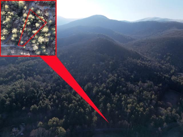 Lot 2 Papas Mountain Rd, Blairsville, GA 30512 | MLS #424947