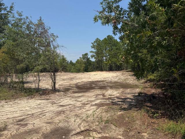 Lot 2 Patrick Highway Lot 2