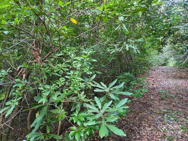 Lot 2 Pine Ridge Rd, Burnsville, NC 28714 | MLS #4284
