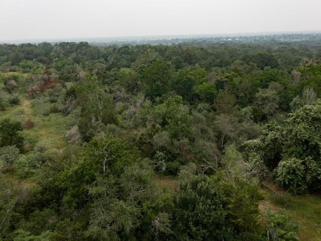 Lot 2 Private Road 4601, Waelder, TX 78959 | MLS #1371 | Compass