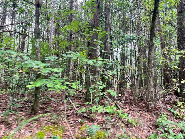 Lot 2 Prigmore Ridge Rd, Decatur, TN 37322