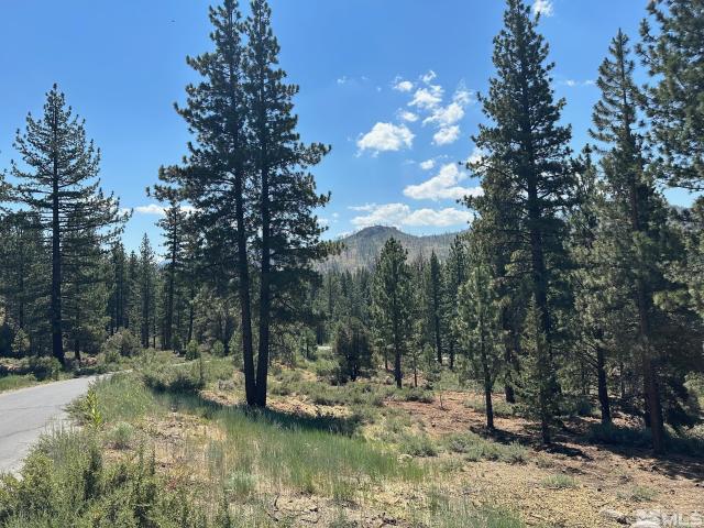 Lot 2 Raymond View, Unit 2, Markleeville, CA 96120 | MLS #210006