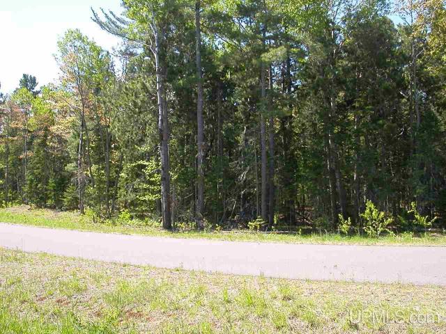 Lot 2 S Eliza Creek Lane