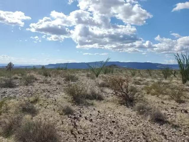 Lot 2 S Rose Well Rd, Yucca, AZ 86438 MLS 022191