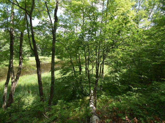 Lot 2 Saylors Lane