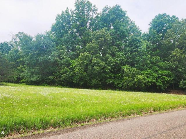 Lot #2 shamrock road