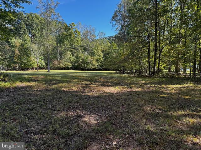 Lot 2 Sir Walter Dr, Bumpass, VA 23024 | MLS #VALA2008