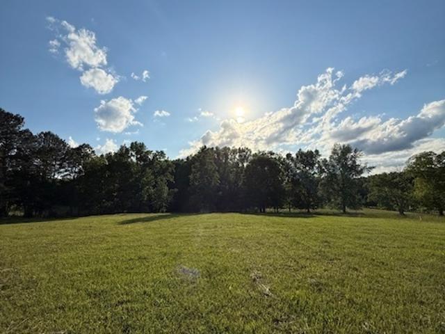 Lot 2 south Of Redwine Rd, Unit LOT 2 SOUTH OF 1585, Fayetteville, GA 30215 | MLS #10710 | Compass