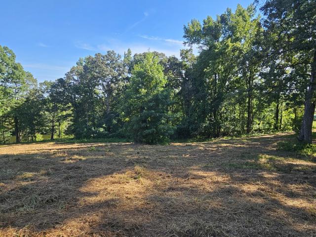 LOT 2 Snote Jones Road