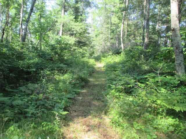 Lot 2 State Road, Couderay, WI 54828 | MLS #1591