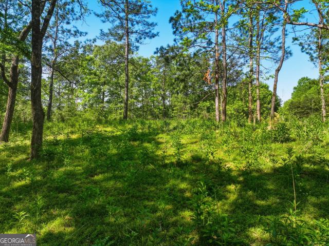 LOT 2 Summit Drive