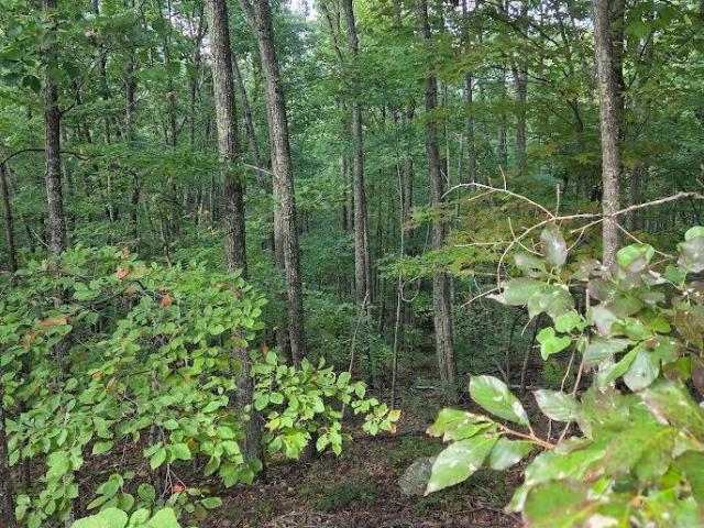 Lot 2 Sunset Drive