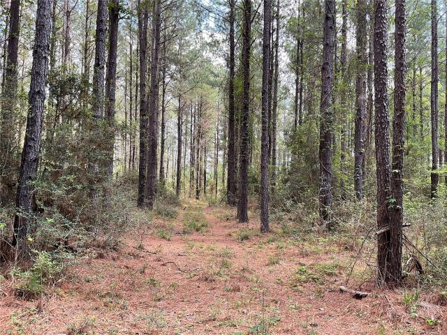 Lot 2B & 2C Fuller Springs Drive