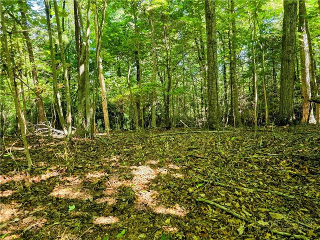 Lot 2B Brightwood Trail