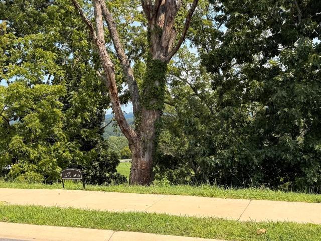 Lot 305 Waterview Way