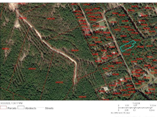 Lot 307 Lumbermans Rd, Onalaska, TX 77360 | MLS #20290 | Compass