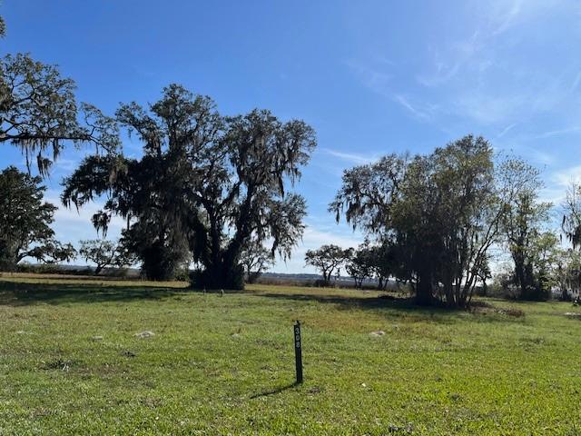 Lot 308 Coopers Point Dr NE, Townsend, GA 31331 | MLS #1660 | Compass