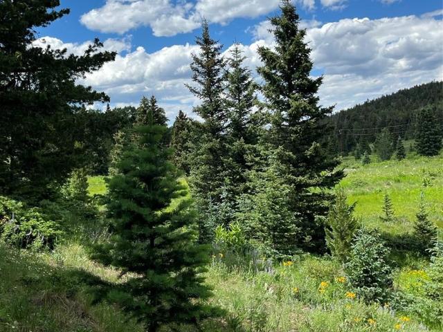 Lot 3091 Sterenson Pl, Fort Garland, CO 81133 | MLS #6744 | Compass