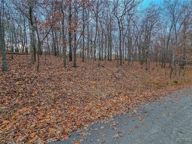Lot #302 Lake Drive