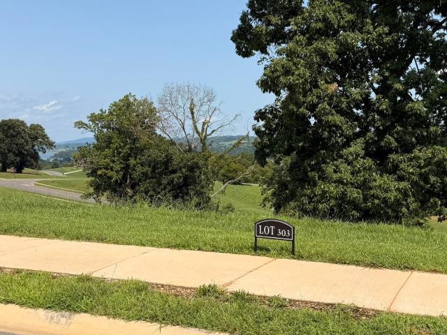 Lot 303 Waterview Way