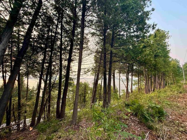 Lot 30 & 31 N Lake Leelanau Drive # Lot: 30&31