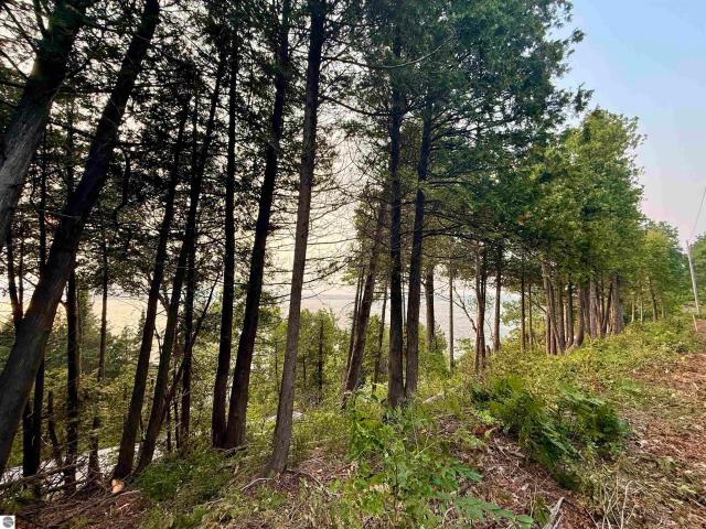 Lot 30 & 31 N Lake Leelanau Drive