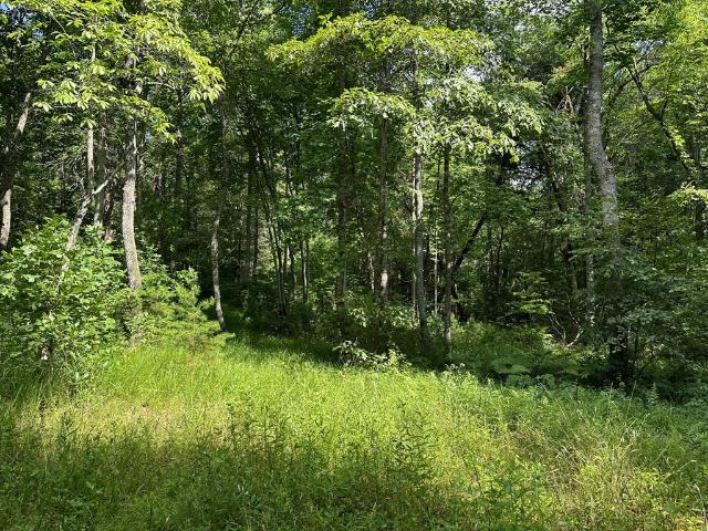 Lot 30 Fairview Dr, Morganton, GA 30560 | MLS #424963