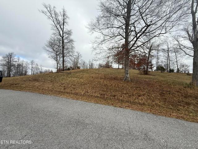 Lot #30 Oak Point Drive