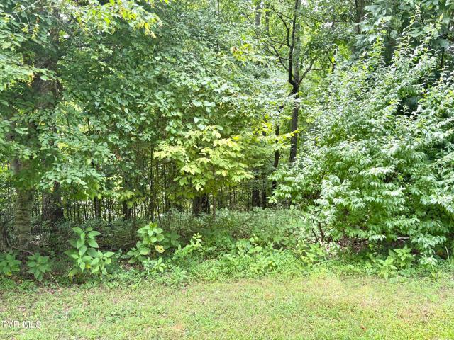 Lot 30 Rock Island