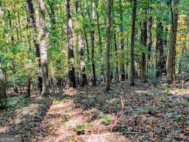 LOT 30 Rocky Knob Drive