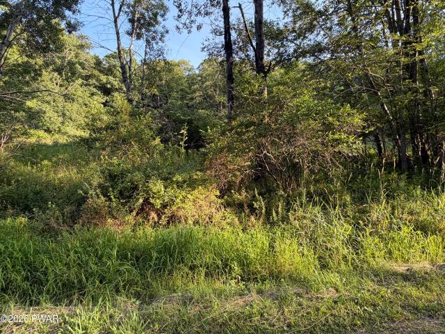Lot 30 Timber Ridge Drive