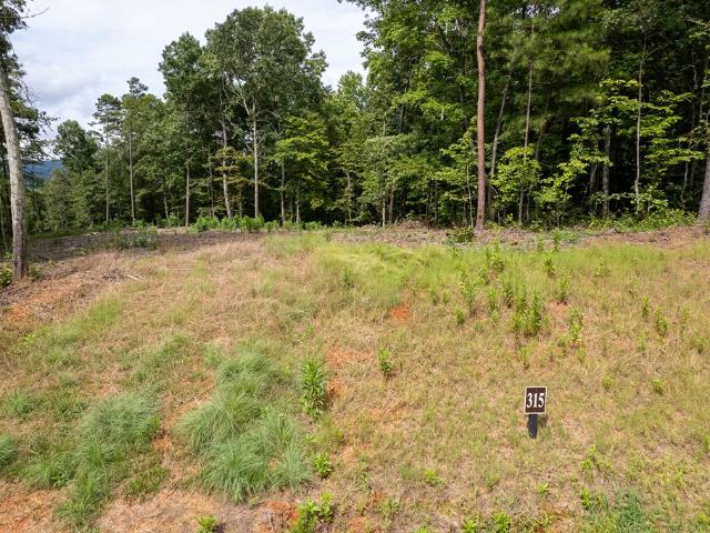 Lot 315 Pebble Trace, Talking Rock, GA 30175 | MLS #406903