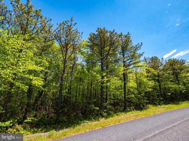 Lot 315A Timber Ridge Trail
