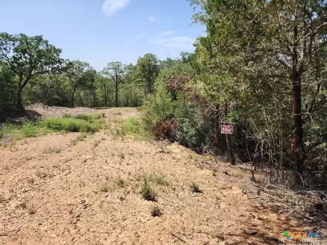 Lot 310 Kalihi Ct, Bastrop, TX 78602 MLS 552706